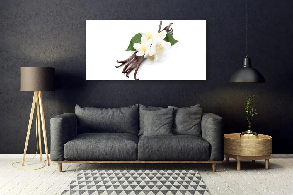 akrylový obraz Vanilková Tyčinka do Kuchyně 120x60 cm