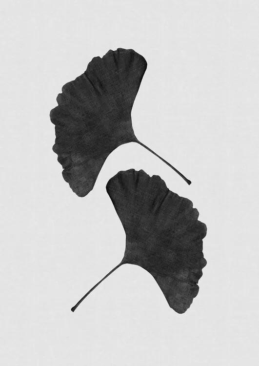 Ilustrace Ginkgo Leaf Black & White II, Orara Studio, (30 x 40 cm)