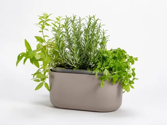Samozavlažovací truhlík Tolita taupe 31 cm