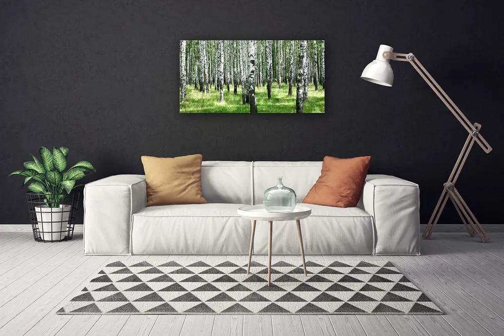 Obraz na plátně Les Tráva Rostlina Příroda 120x60 cm