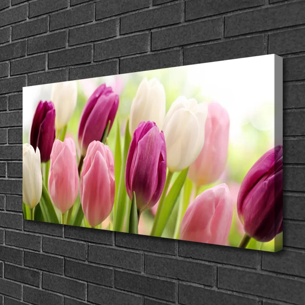 Obraz na plátně Tulipány Květiny Příroda Louka 100x50 cm