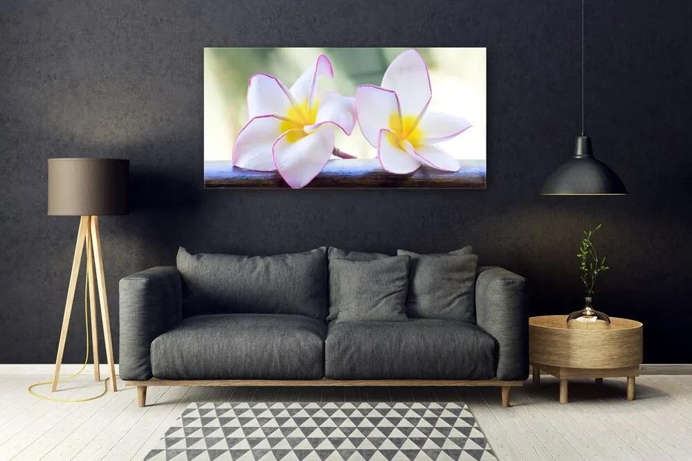 Plexisklo-obraz Květiny Plátky Plumérie 120x60 cm