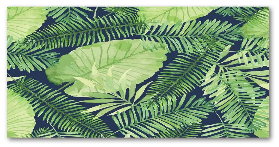Wallmuralia Foto obraz akryl do obýváku Tropické listí 140x70 cm
