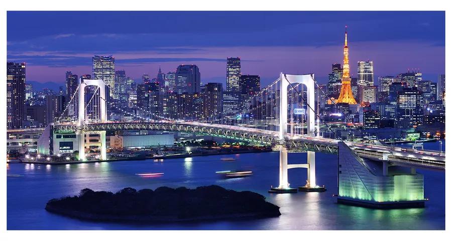 Wallmuralia Foto obraz akrylové sklo Most v Tokio 140x70 cm