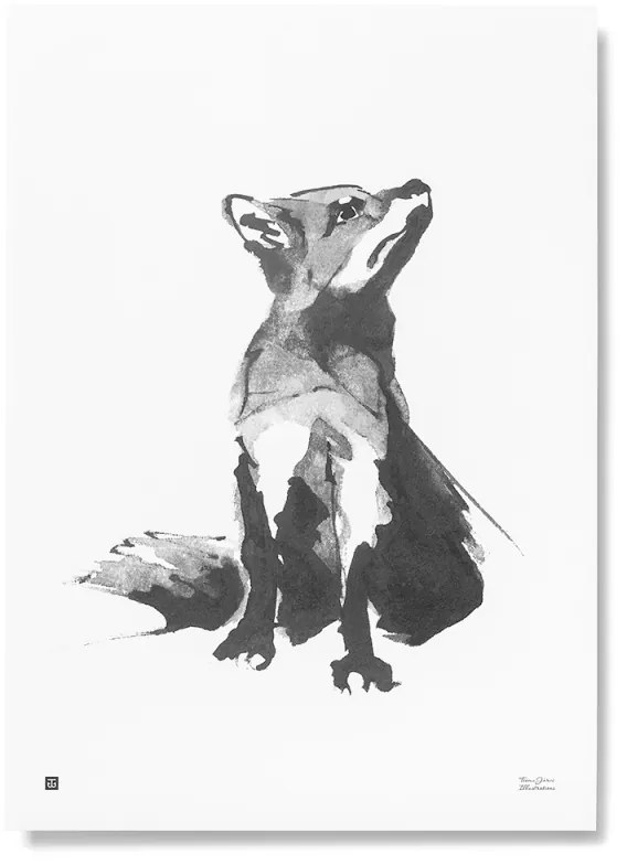 Plakát Red Fox 50x70