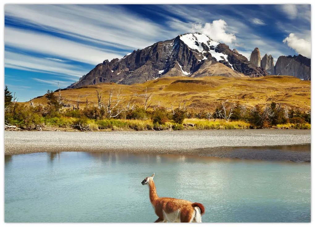 Obraz - Národní park Torres del Paine (70x50 cm)