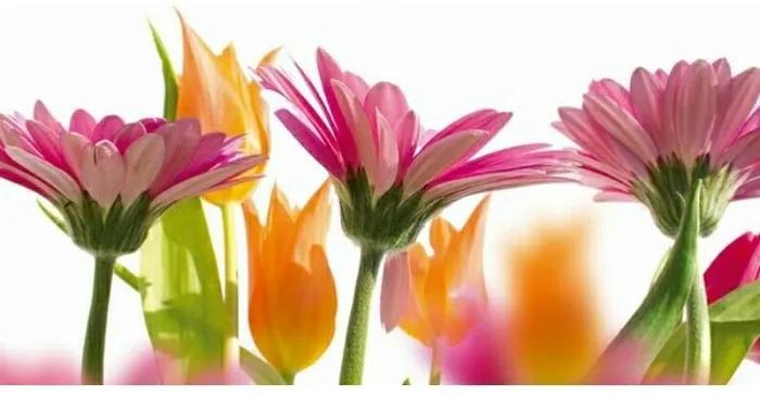 Obraz na skle - Jarní květiny 60x 30 cm