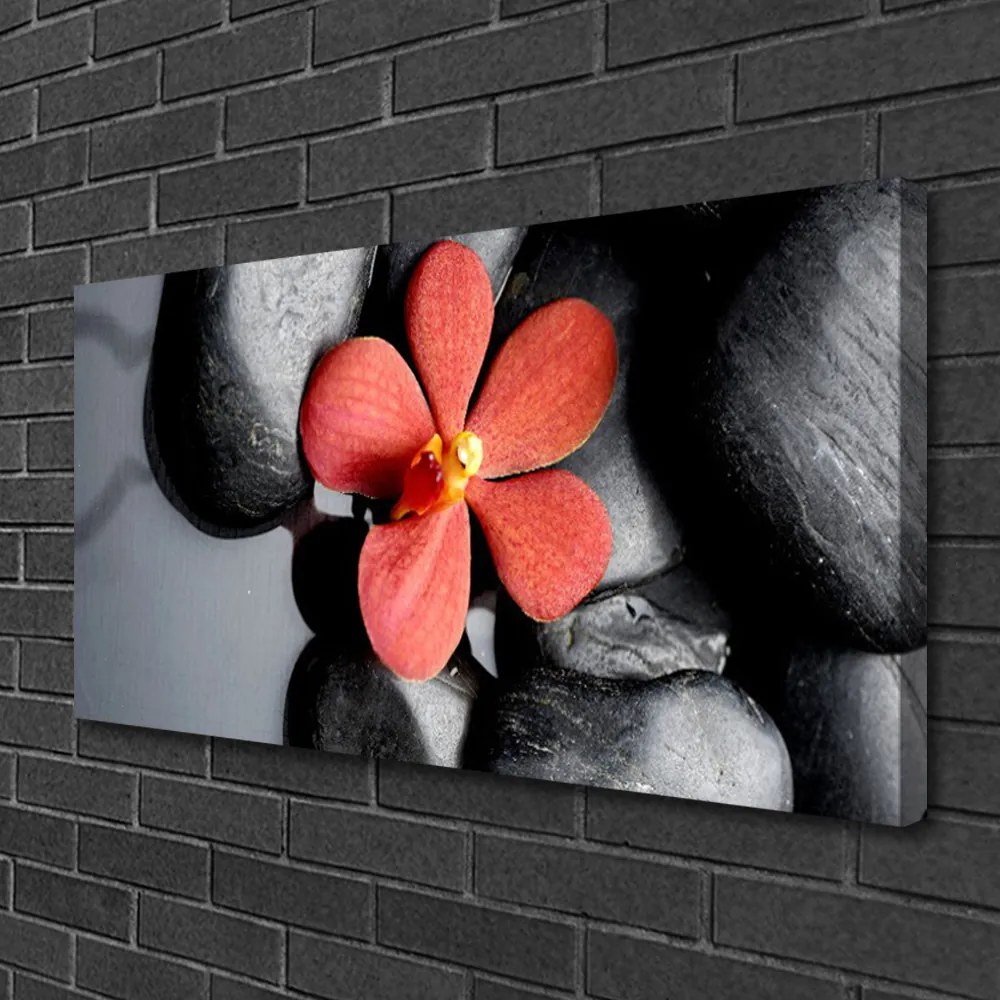Obraz na plátně Květ Kameny Umění 125x50 cm