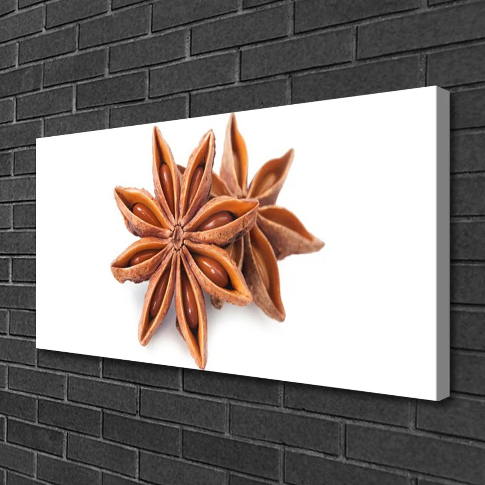 Obraz na plátně Anýz Hvězda Příprava 120x60 cm