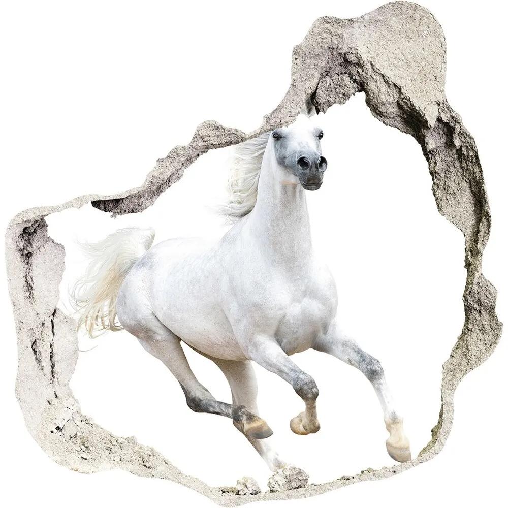 Wallmuralia Fototapeta díra na zeď Bílý arabský kůň 75x75 cm