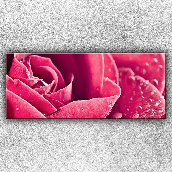 Xdecor Růžová růže 2 (120 x 50 cm) - Jednodílný obraz
