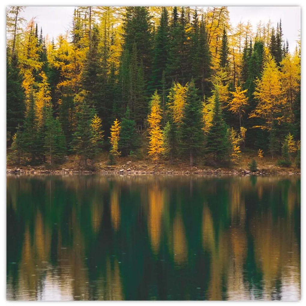Obraz lesního jezera (30x30 cm)