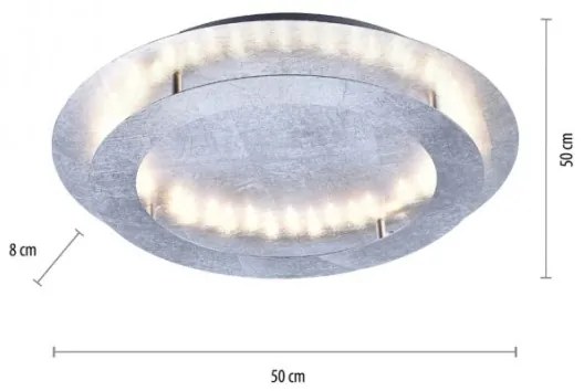 Paul Neuhaus 9621-21 - LED Stropní svítidlo NEVIS LED/24W/230V