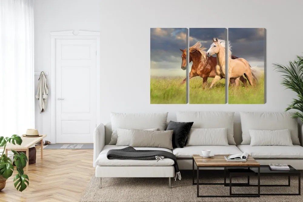Vícedílný obraz Koně Cválající Na 3D Louce Nedostatek Nedostatek Přírodní plátno 60x40