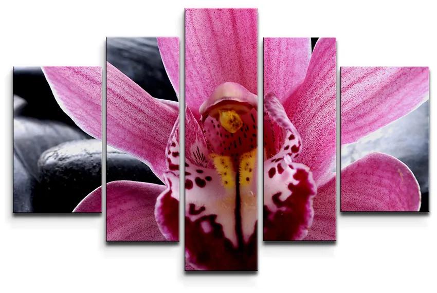 Sablio Obraz - 5-dílný Růžová orchidea - 125x90 cm