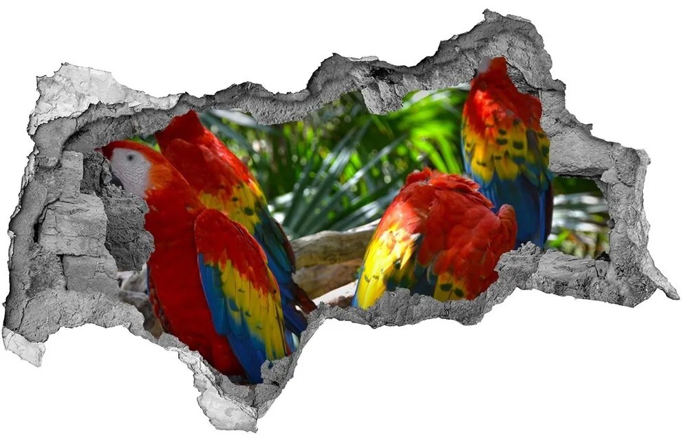 Wallmuralia Díra 3D fototapeta nálepka Papoušek Ara 95x73 cm