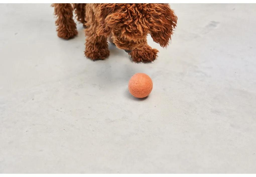 Hračka míček pro psy MiaCara Globo coral Velikost: S