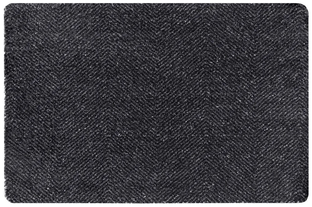 Hanse Home Collection koberce Rohožka Clean & Go 105350 Black Anthracite ROZMĚR: 45x67