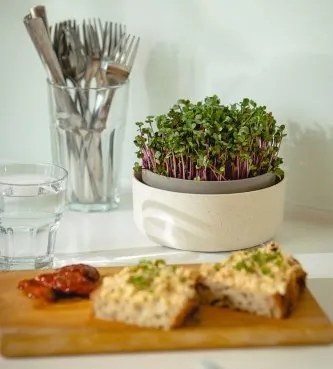 Plastia Microgreens - slonová kost s kávovou sedlinou 196028