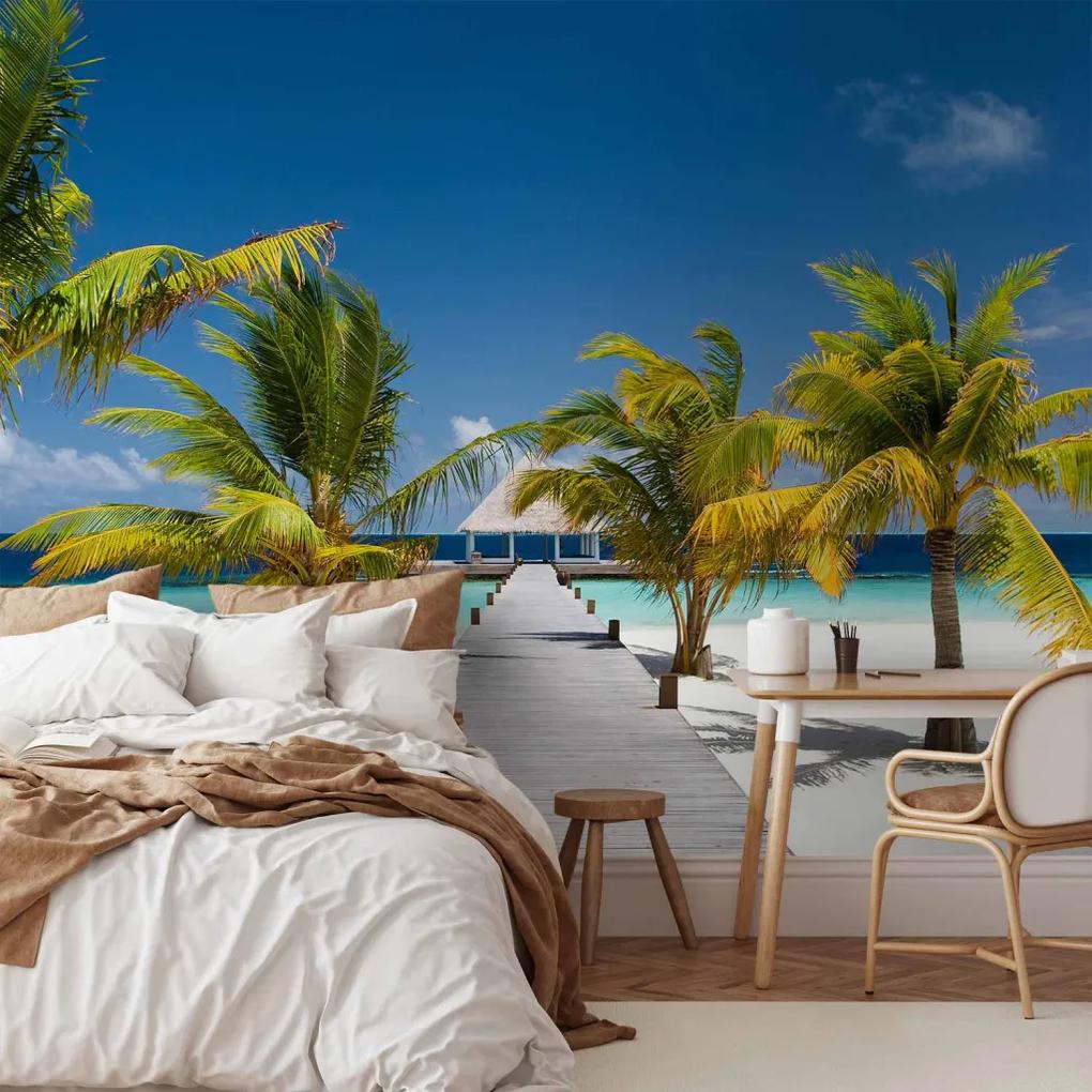 Fototapeta Rajské Maledivy - krajina s tropickými palmami a modrou oblohou