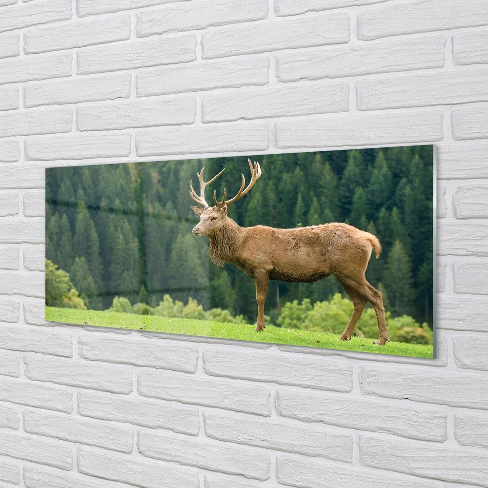 akrylový obraz Jelen v poli 120x60 cm