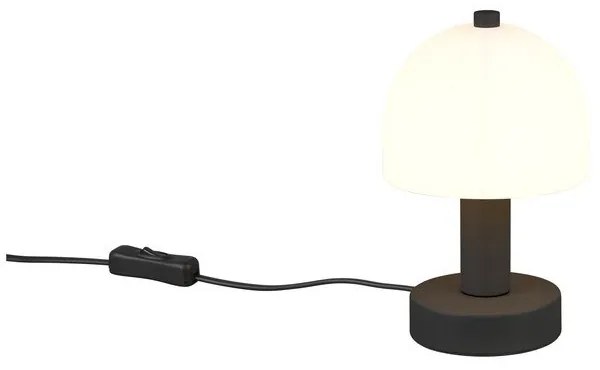 Černo-bílá stolní lampa se skleněným stínidlem (výška 19 cm) Glenn – Trio