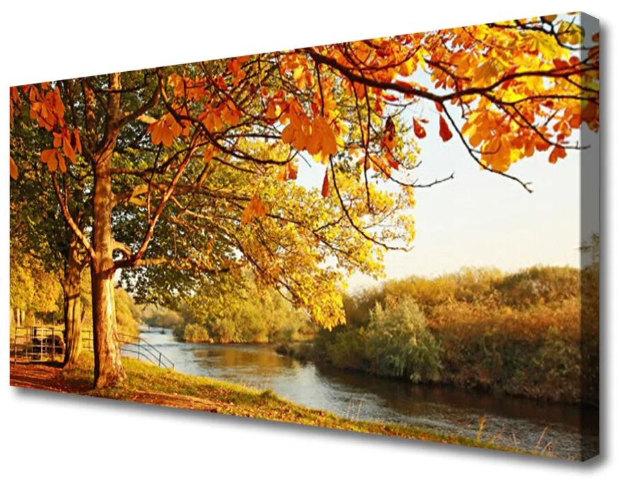 Obraz na plátně Strom Jezero Příroda 120x60 cm