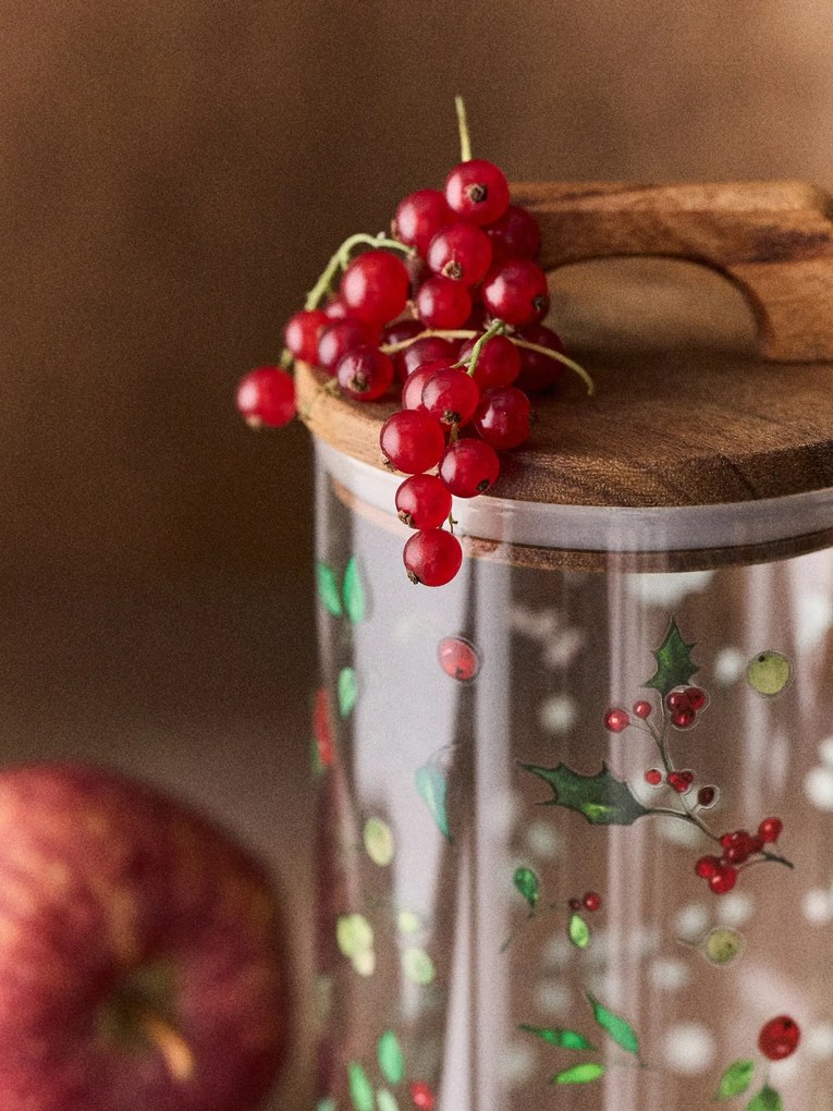 Sinsay - Vánoční sklenice na potraviny s víčkem - vícebarevná