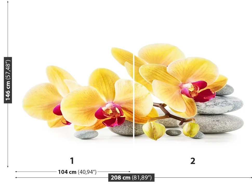 Fototapeta Žlutá orchidej 104x70