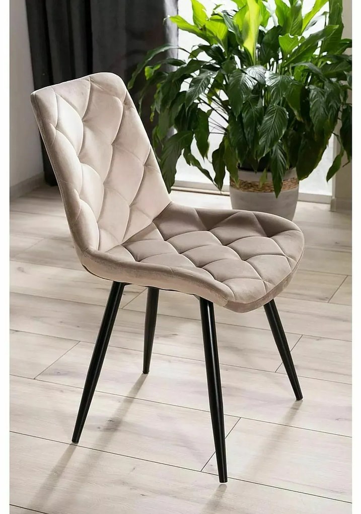 Sametová jídelní židle Ralph béžová