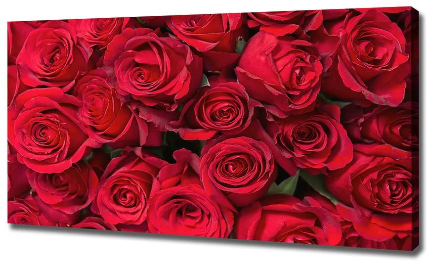Wallmuralia Foto obraz na plátně Červené růže 120x60 cm