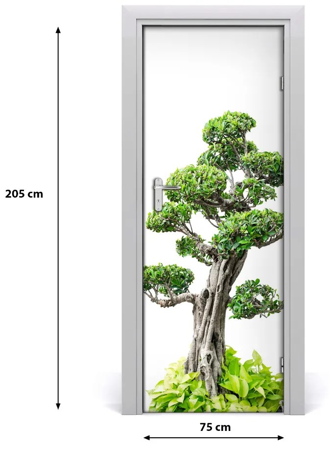 Fototapeta samolepící bonsai 75x205 cm