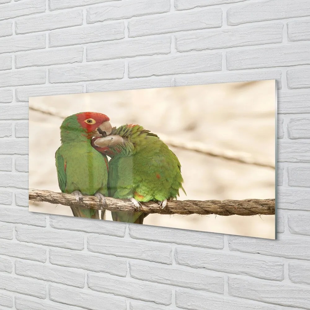 Obraz na skle zelené papoušci 120x60 cm