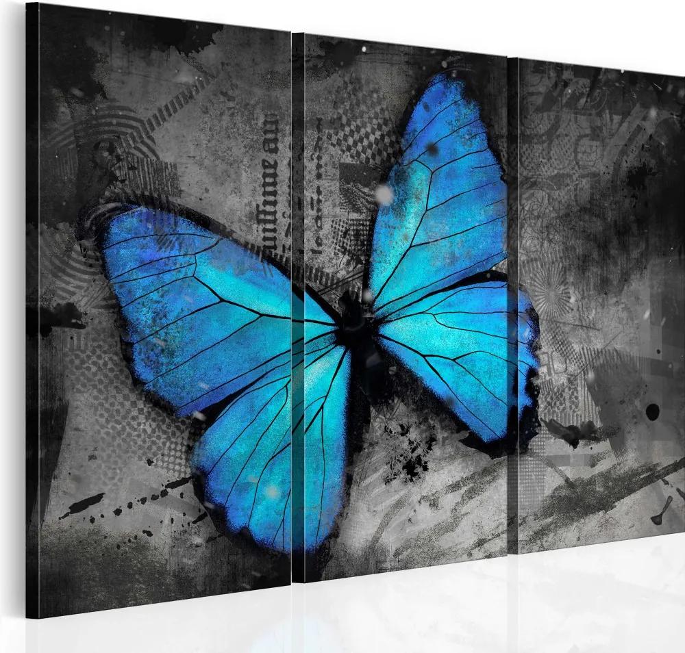 Obraz na plátně Bimago - The study of butterfly - triptych 60x40 cm