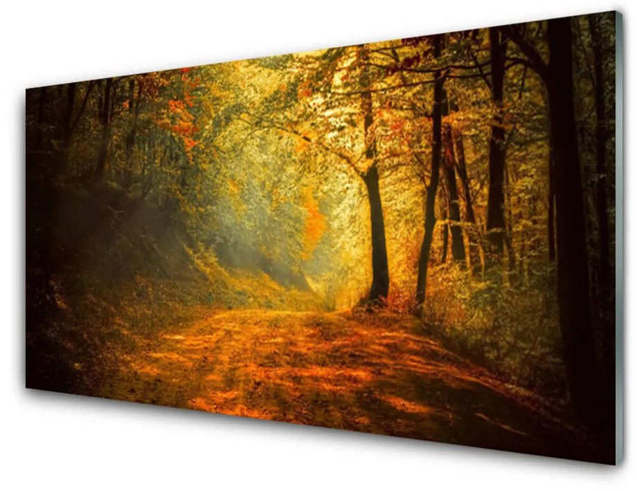 Obraz na skle Les Cestička Stromy Příroda 120x60 cm