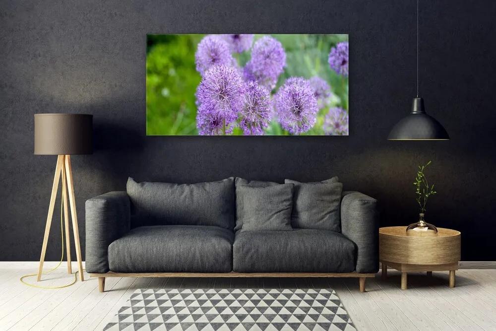 Plexisklo-obraz Fialové Květiny Louka 120x60 cm