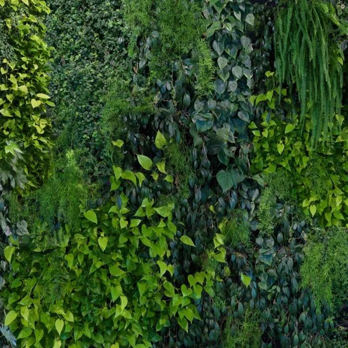 Vliesová tapeta Mr Perswall - Green Wall 495 x 300 cm