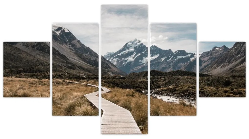 Obraz - Chodník v údolí hory Mt. Cook (125x70 cm)