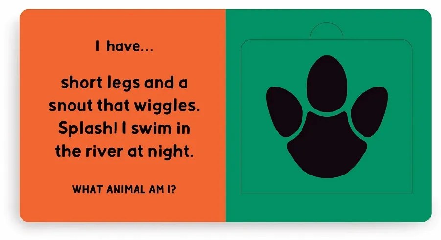 Mudpuppy Kniha Stopy z džungle