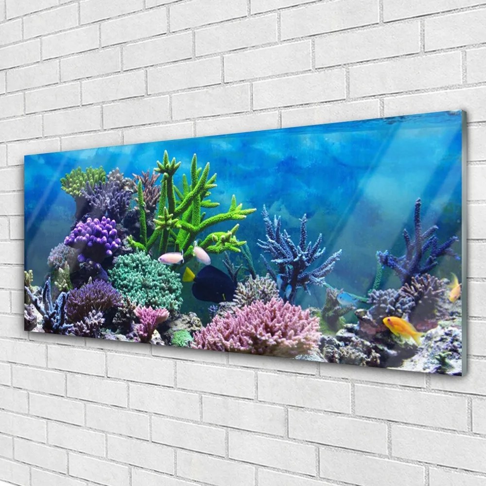 Plexisklo-obraz Akvárium Rybičky Pod Vodou 125x50 cm