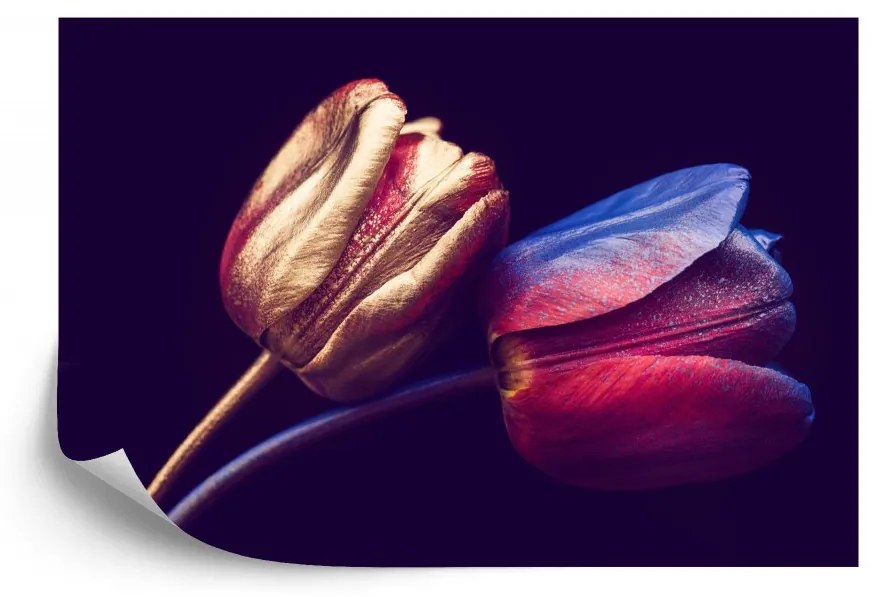 Fototapeta Tulipány Se Zlatými Prvky Hladký vinyl 450x300