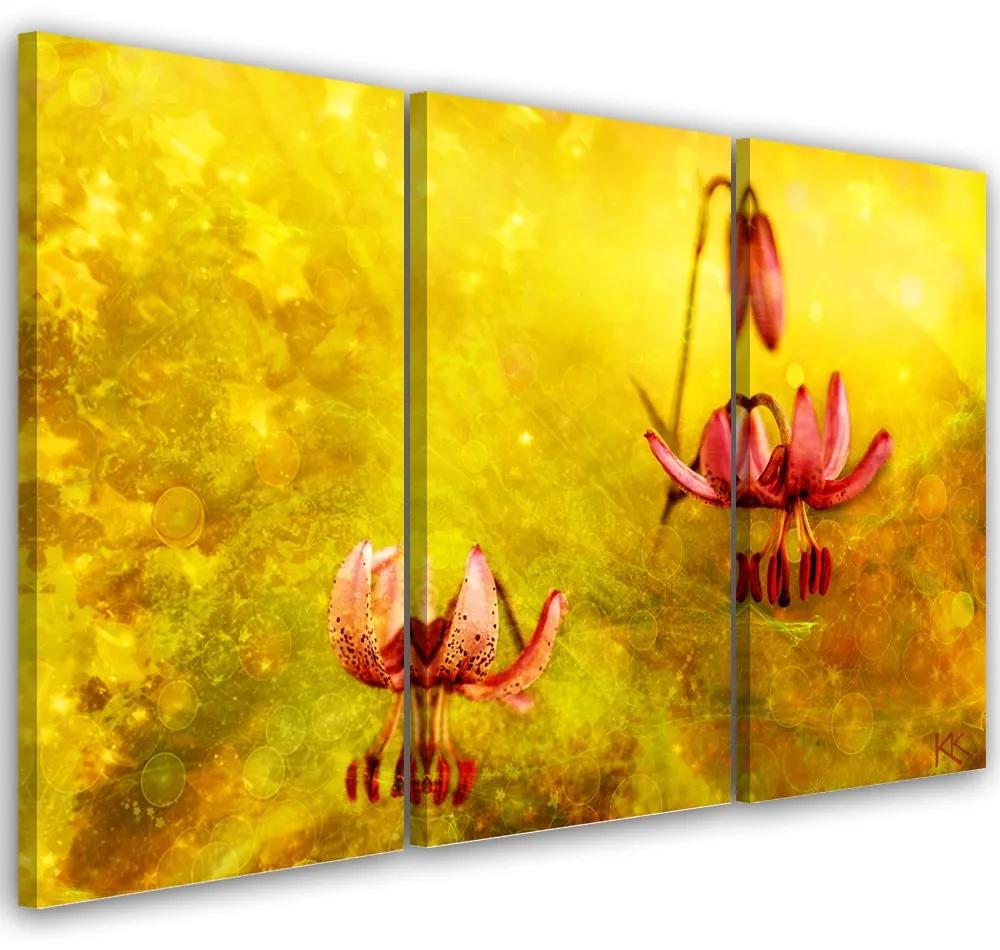 Obraz na plátně třídílný, Zaskacené tulipásy květin - 60x40 cm