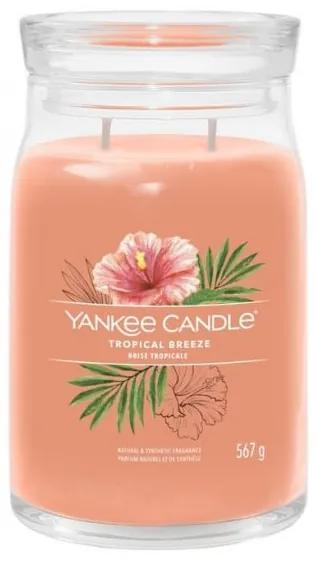 Aromatická svíčka, Yankee Candle Signature Tropical Breeze, hoření až 90 hod