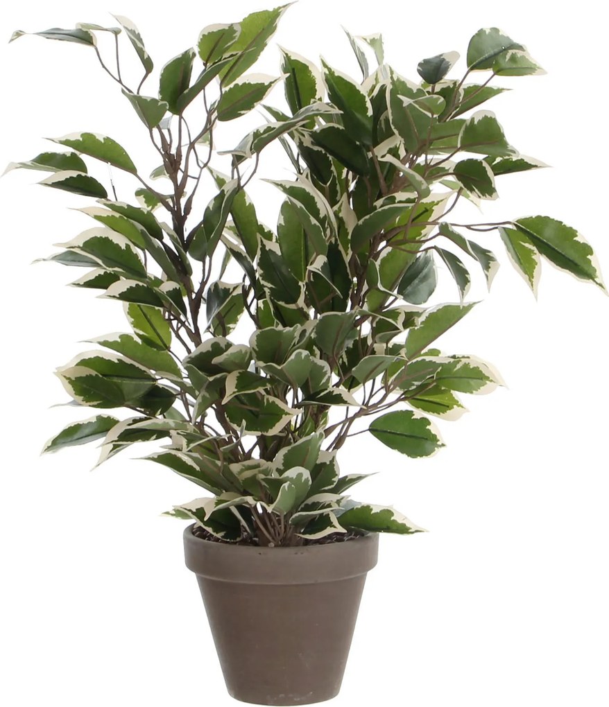 XXXLutz UMĚLÁ ROSTLINA 40 cm - Umělé rostliny - 0045360230