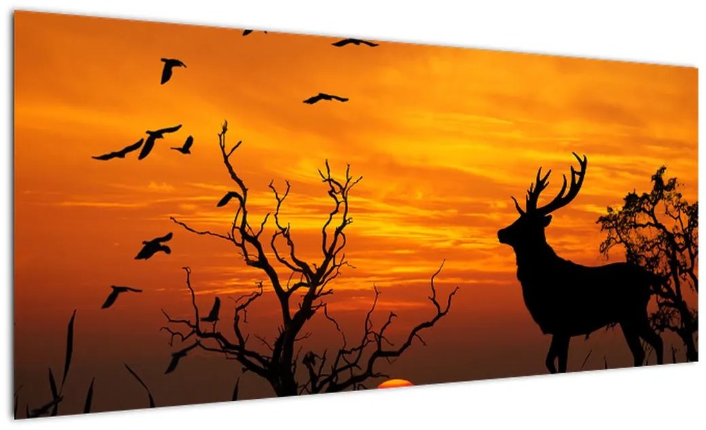 Obraz - jelen na podzimní louce (100x40cm)