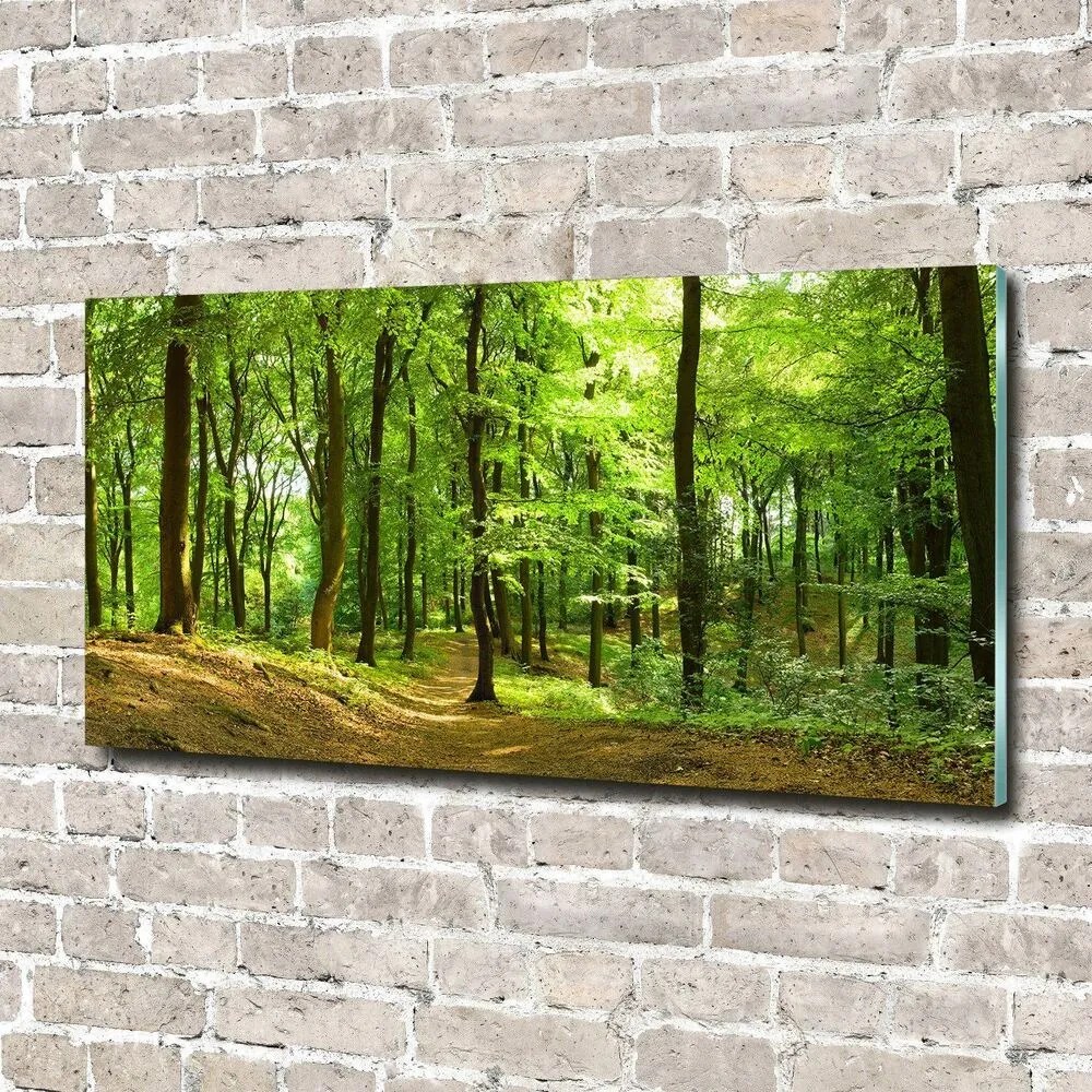 Wallmuralia Fotoobraz na skle Lesní stezka 140x70 cm