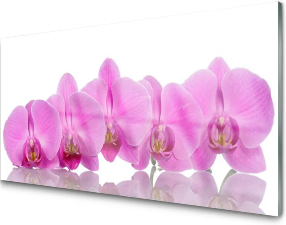 Skleněný obraz Růžová Orchidej Květiny