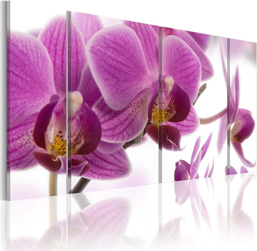 Obraz na plátně Bimago - Marvelous orchid 120x60 cm