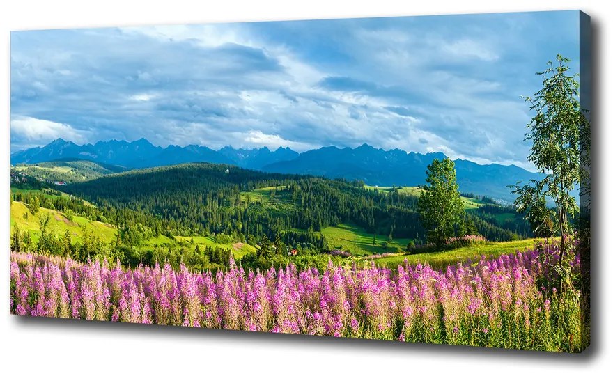 Wallmuralia Foto obraz canvas Levandule v horách 100x50 cm