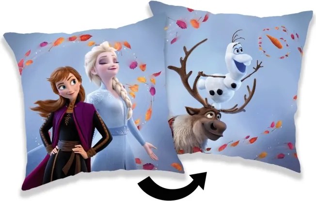 Jerry Fabrics Polštářek Frozen 2 Wind 02 35x35 cm